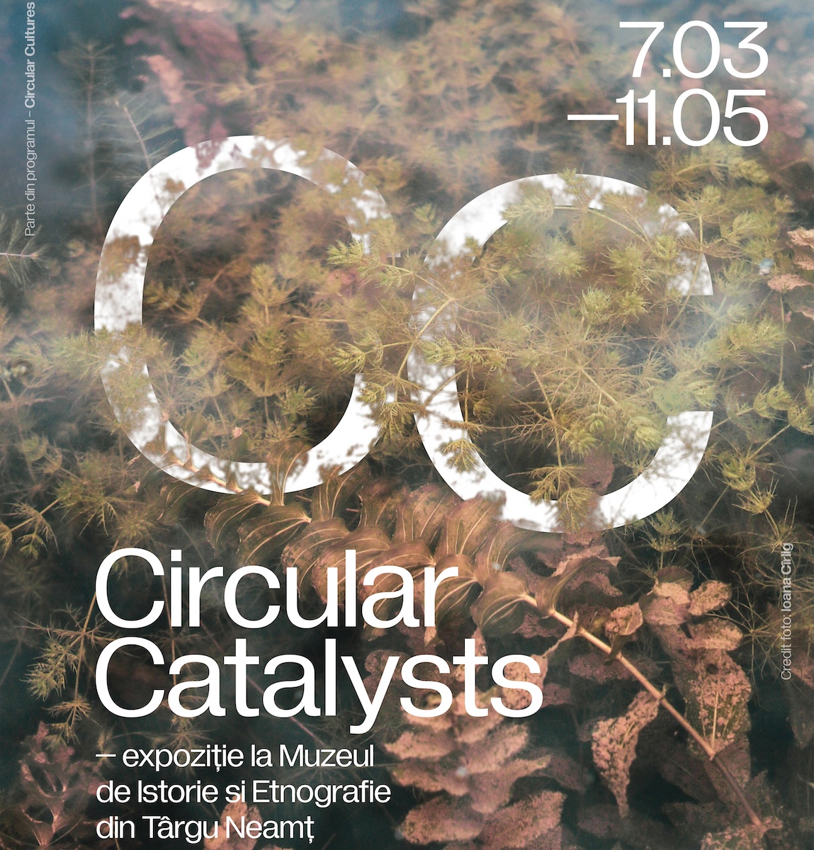 British Council: Circular Catalysts exhibition opens at history museum ...